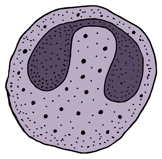 10 + Eosinophilic Bronchitis e Bronchite immagini gratis - Pixabay