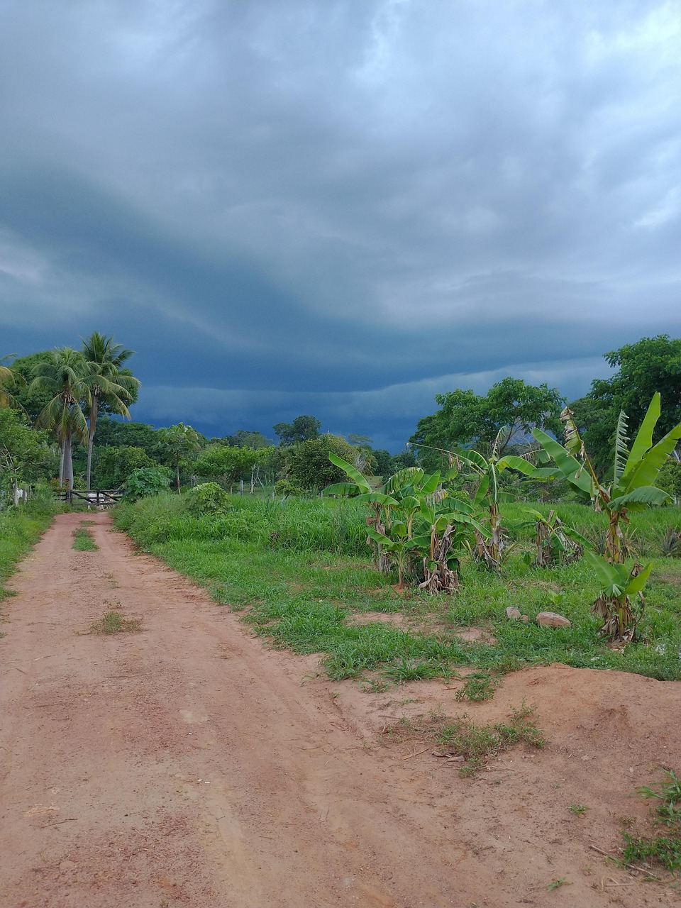 Awan Hujan Alam - Foto gratis di Pixabay - Pixabay