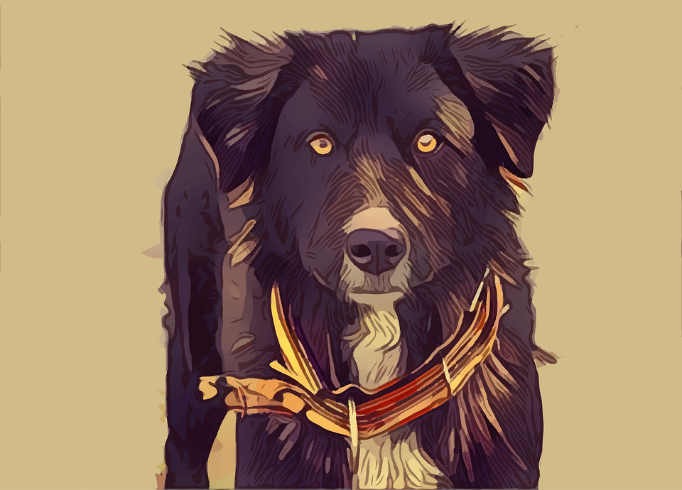 Download Dog, Pet, Animal. Royalty-Free Vector Graphic - Pixabay