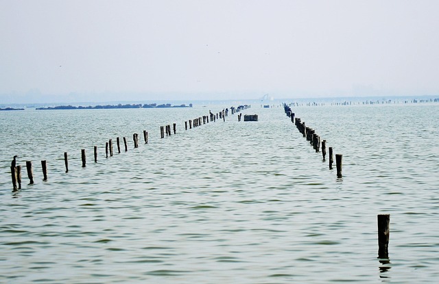 Mer Lac Océan - Photo gratuite sur Pixabay - Pixabay