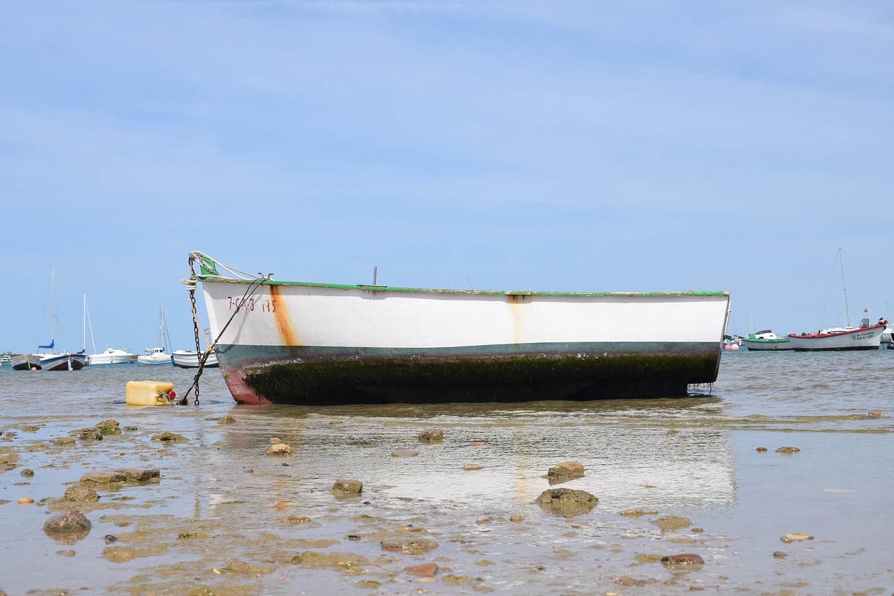 Chicana De La Frontera Mar Barco - Foto gratuita no Pixabay - Pixabay