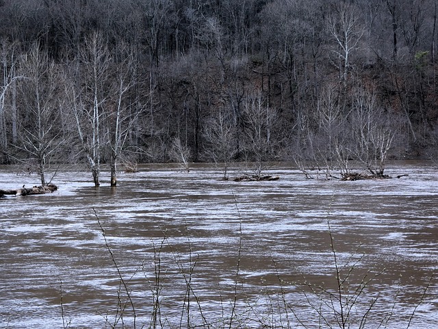 Delaware River Flood Flooding - Free photo on Pixabay - Pixabay