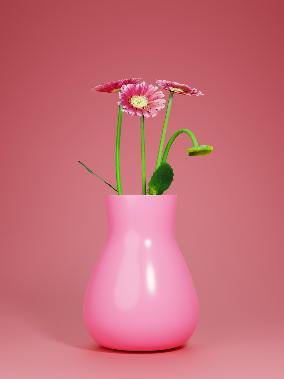 800+ kostenlose Blumenvase und Vase-Bilder - Pixabay