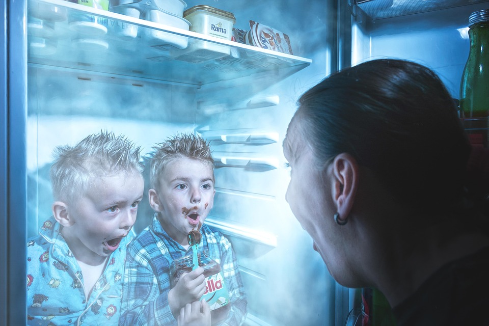 Fridge Boys Children - Free photo on Pixabay - Pixabay
