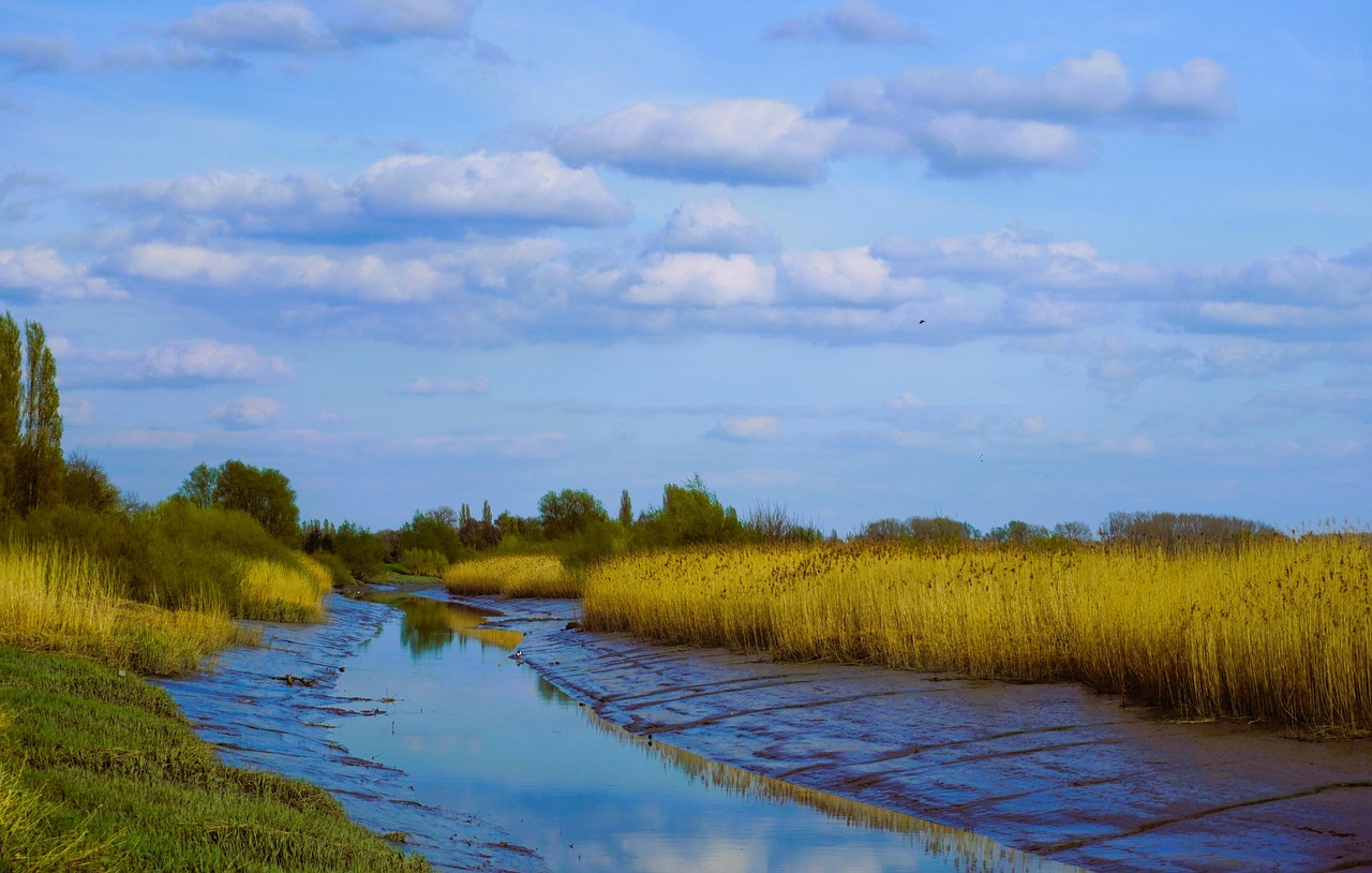 70,000+ Free River-Bank & River Bank Images - Pixabay