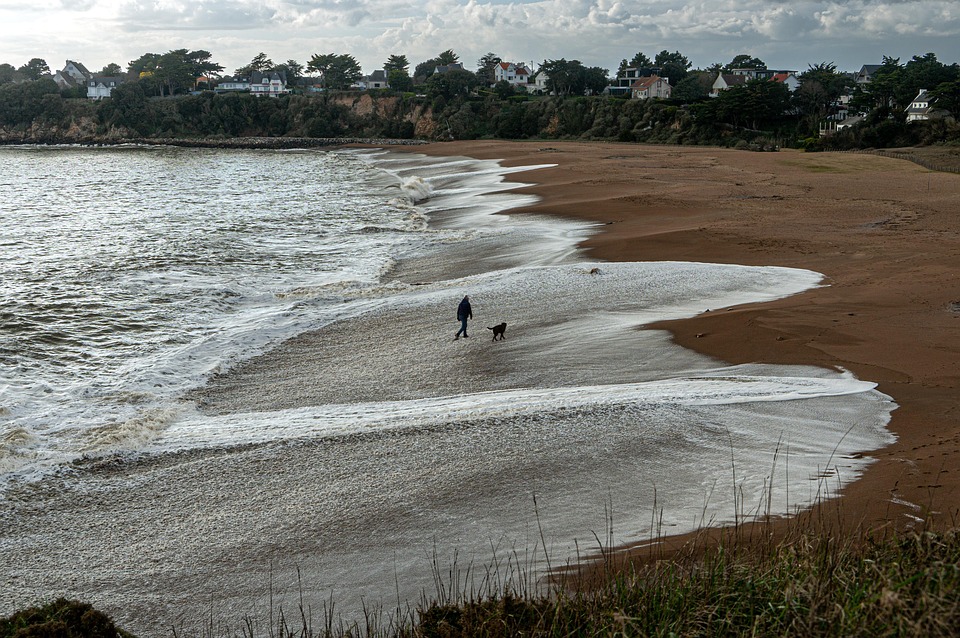 Sea Beach Man - Free photo on Pixabay
