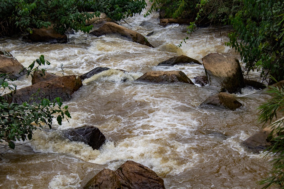 Stream Jungle Water - Free photo on Pixabay