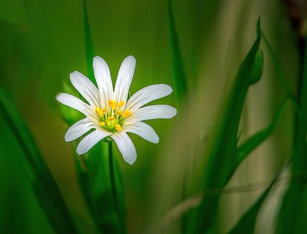 100+ Free Starlight & Night Photos