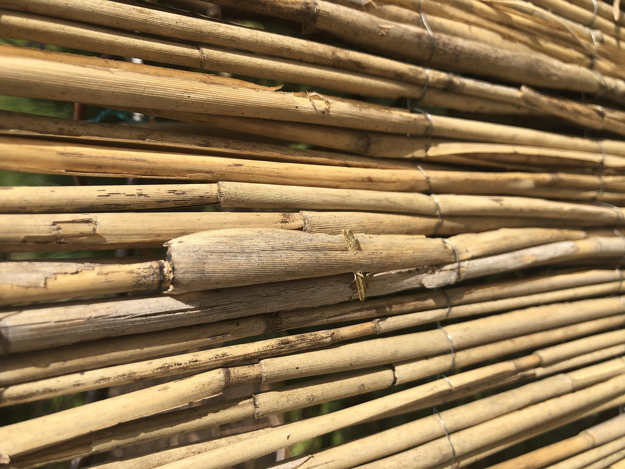 Bamboo Zen - Free photo on Pixabay - Pixabay
