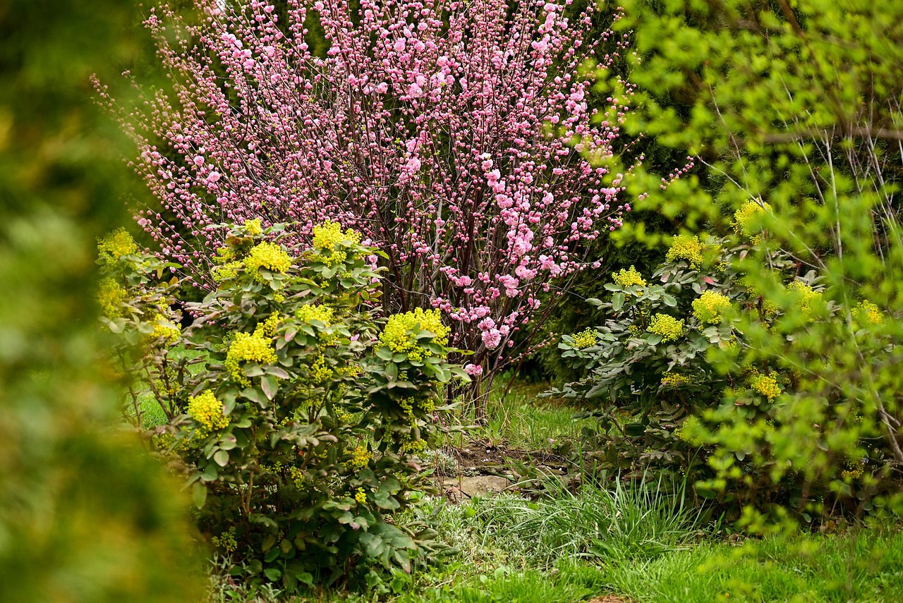 Jardin Le Printemps Parc - Photo gratuite sur Pixabay