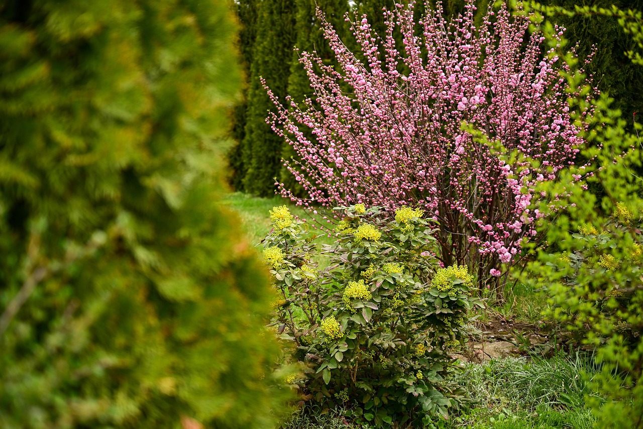 Garden Spring Park - Free photo on Pixabay