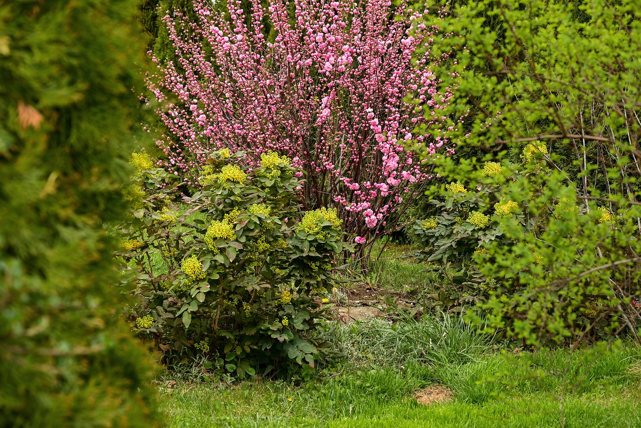 Jardin Le Printemps Parc - Photo gratuite sur Pixabay - Pixabay