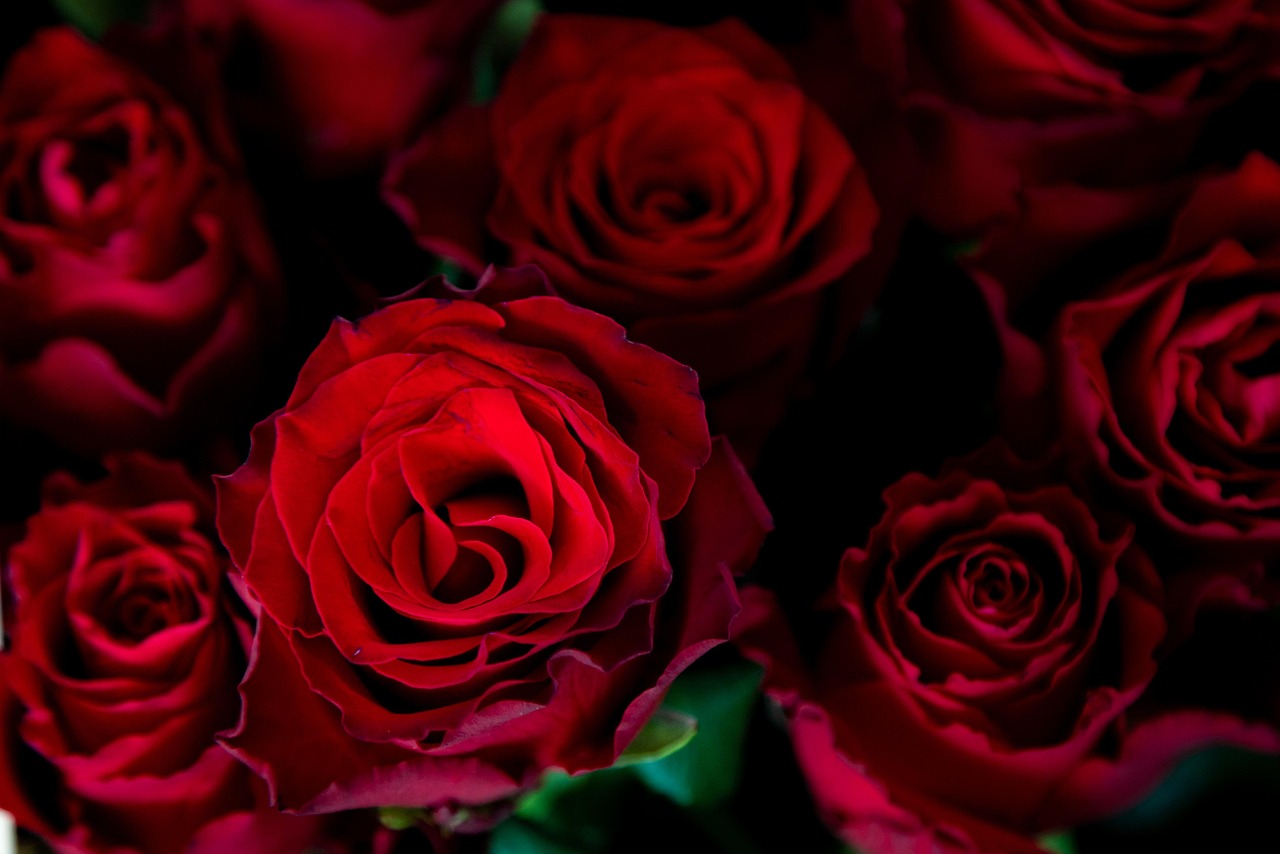 Rosas Vermelhas Ramalhete - Foto gratuita no Pixabay - Pixabay