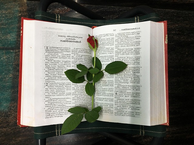 Alkitab Paskah Tuhan - Foto gratis di Pixabay - Pixabay