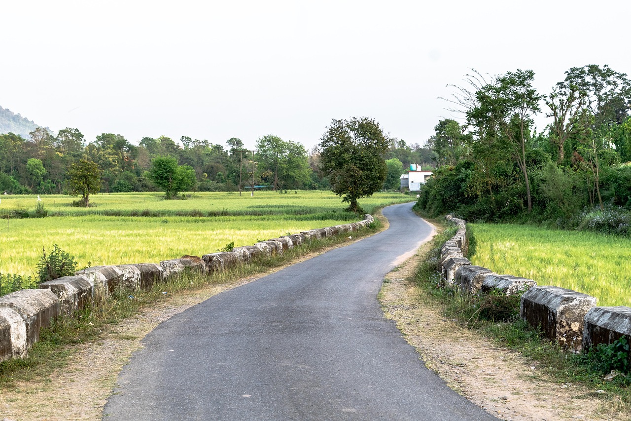Road Wheat Fields Countryside - Free photo on Pixabay - Pixabay