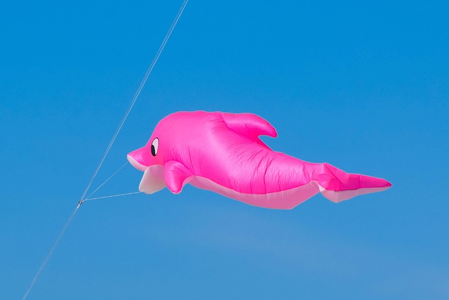 Dolphin Kite Flying - Free photo on Pixabay