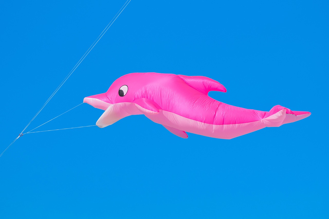 2,000+ Free Kite & Nature Images - Pixabay