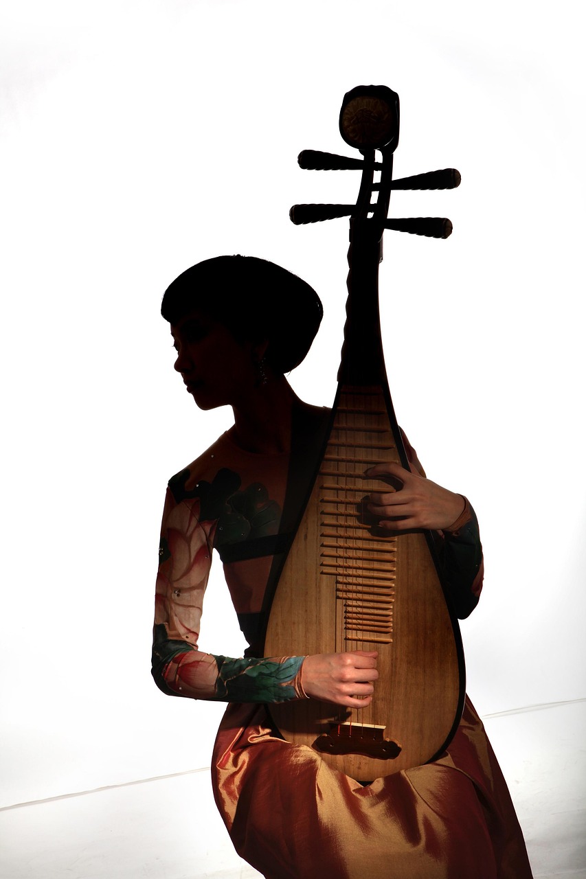 Musique Instrument De Luth - Photo gratuite sur Pixabay - Pixabay