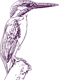 40+ Free Bird Outline & Bird Vectors - Pixabay