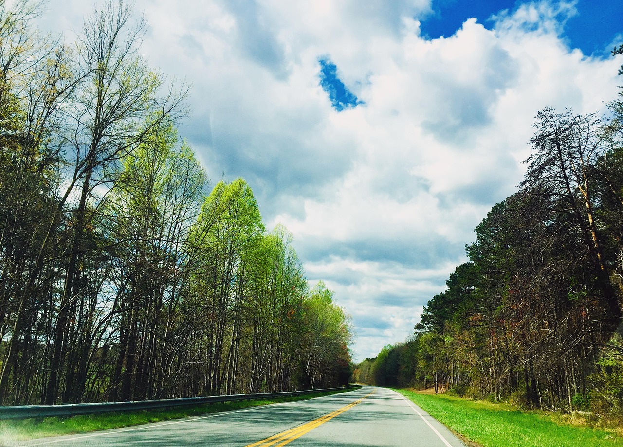 Road Spring Trees - Free photo on Pixabay - Pixabay