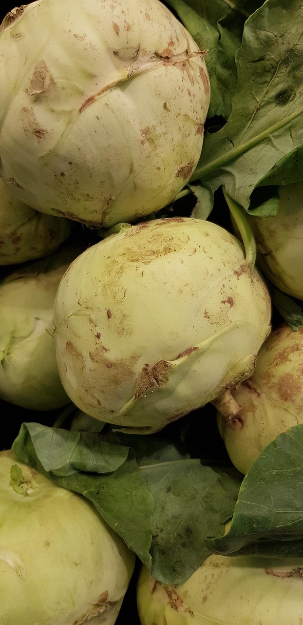 Vegetable Kohlrabi Food - Free photo on Pixabay