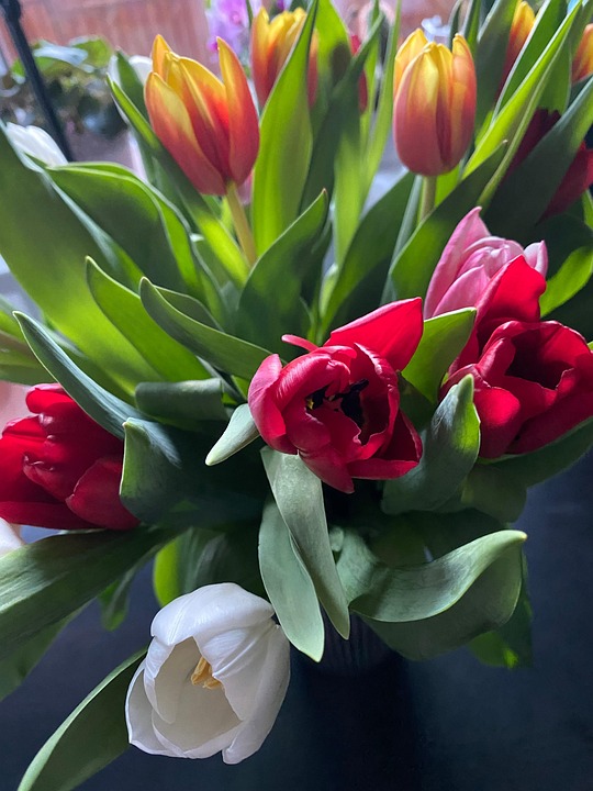 Tulips Flowers Bouquet - Free photo on Pixabay - Pixabay