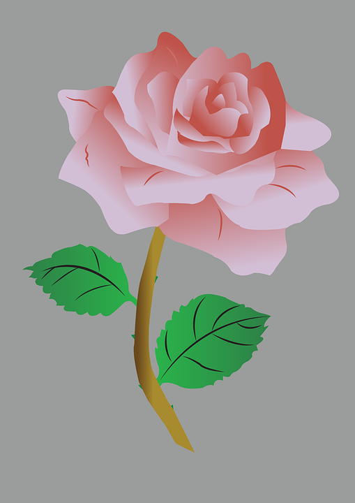 Flower Rose Bloom - Free vector graphic on Pixabay