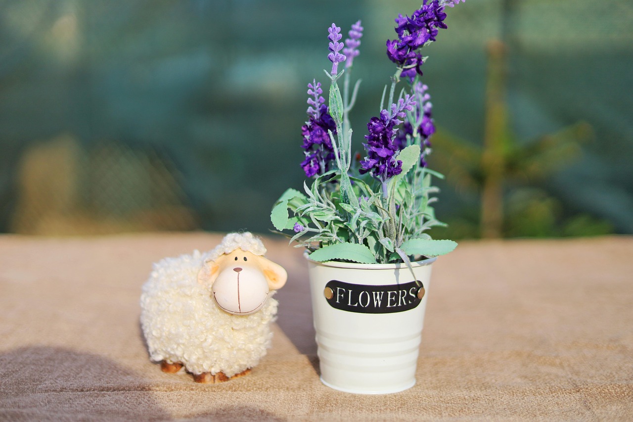 100+ Free Sheep Wallpaper & Sheep Images - Pixabay