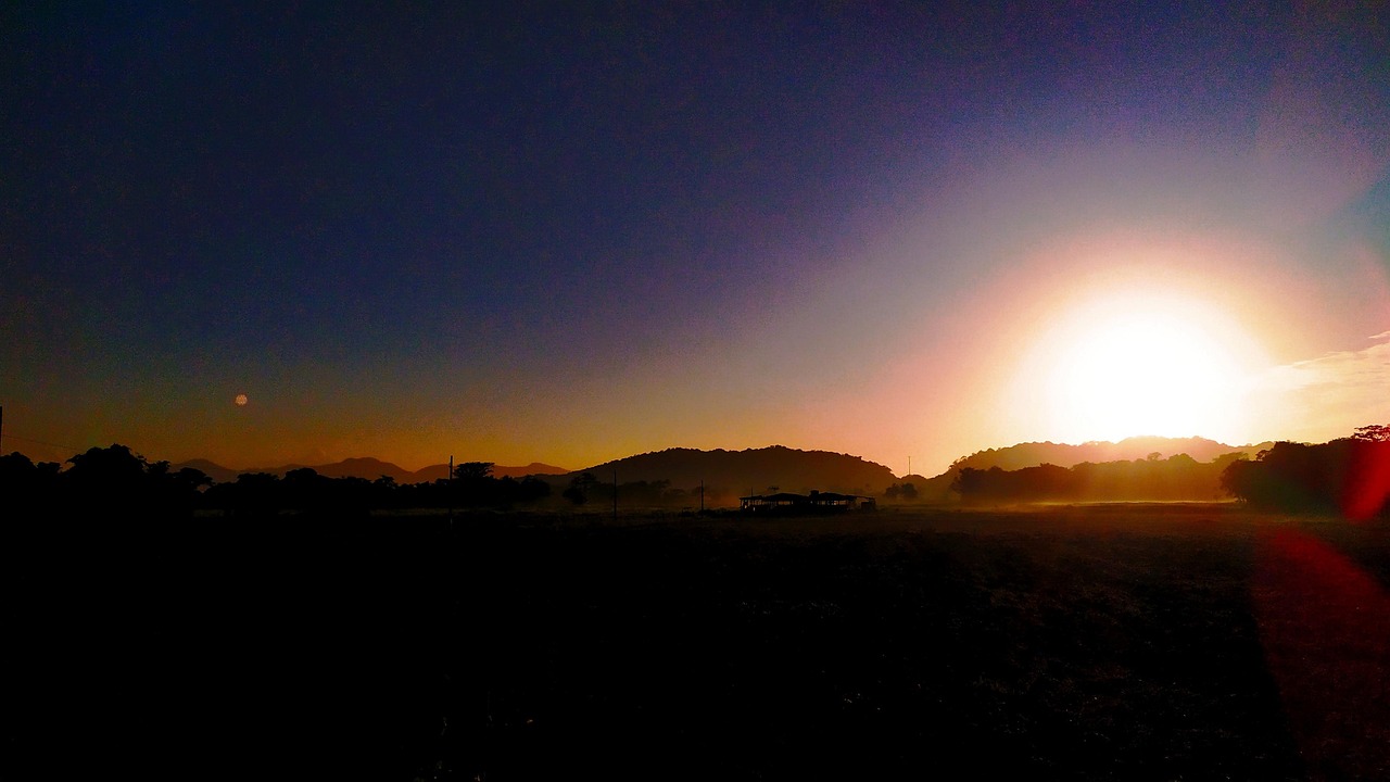 Sunshine Nature - Free photo on Pixabay - Pixabay