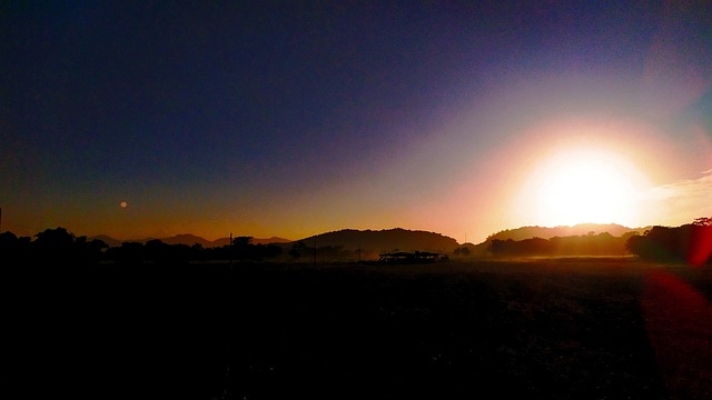Sunshine Nature - Free photo on Pixabay - Pixabay