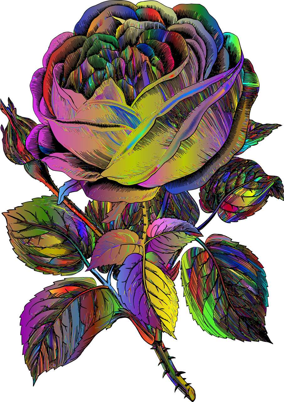 Download Rose, Nature, Prismatic Rose. Royalty-Free Vector Graphic ...