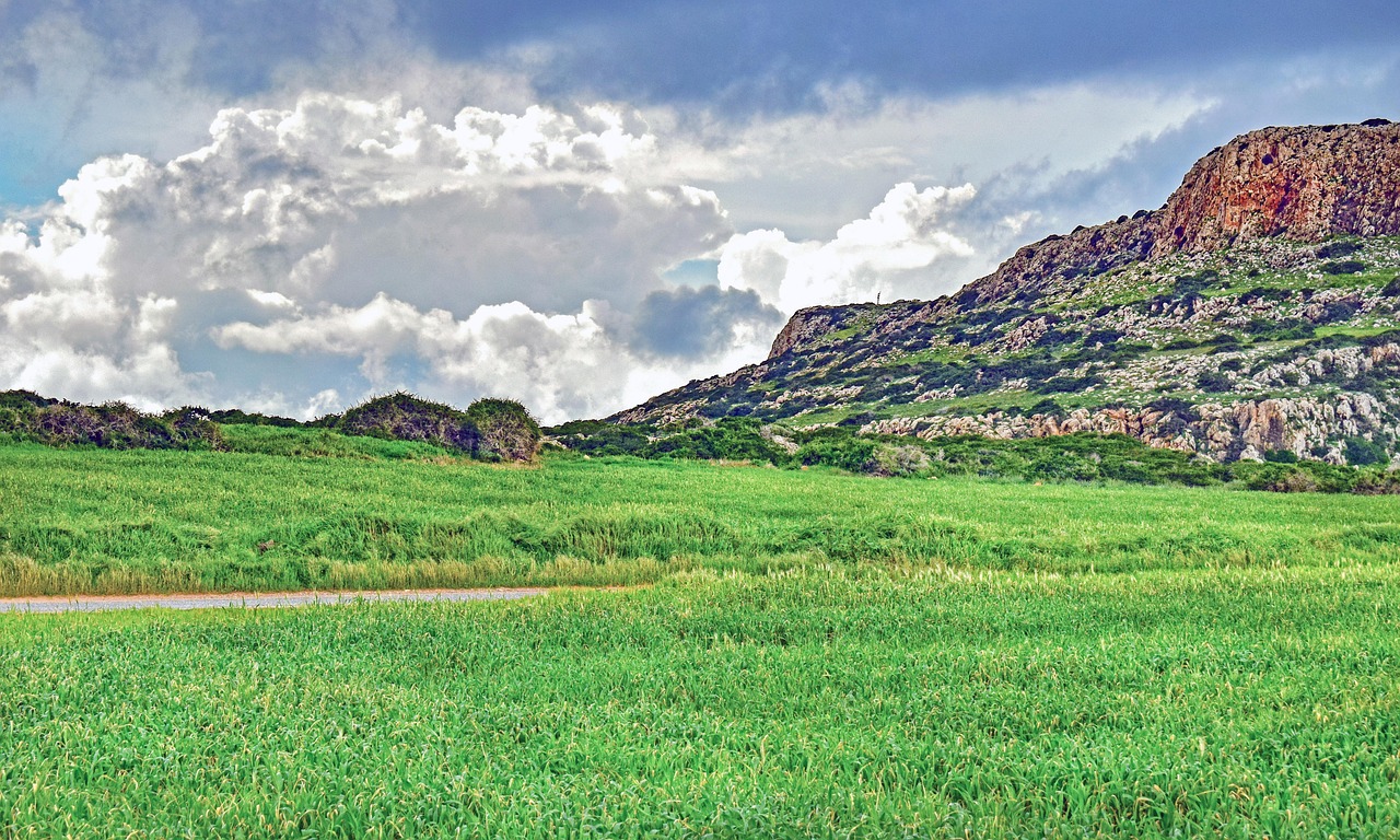 Mountain Grass Cape Greco - Free photo on Pixabay - Pixabay