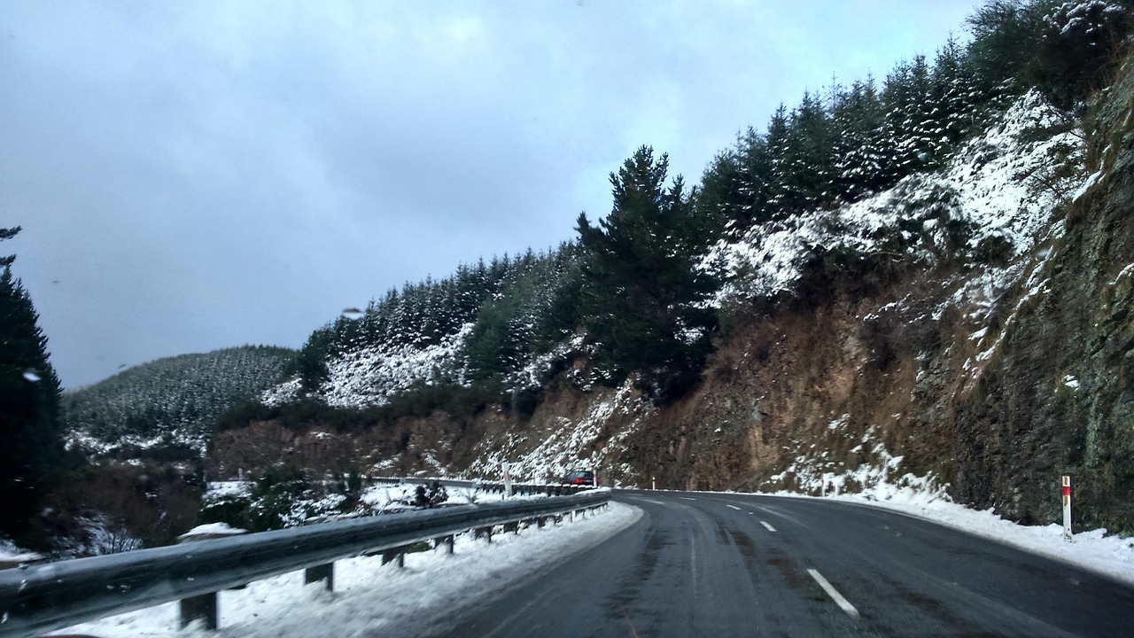 Snowy Weather Road Nz Pine - Free photo on Pixabay - Pixabay