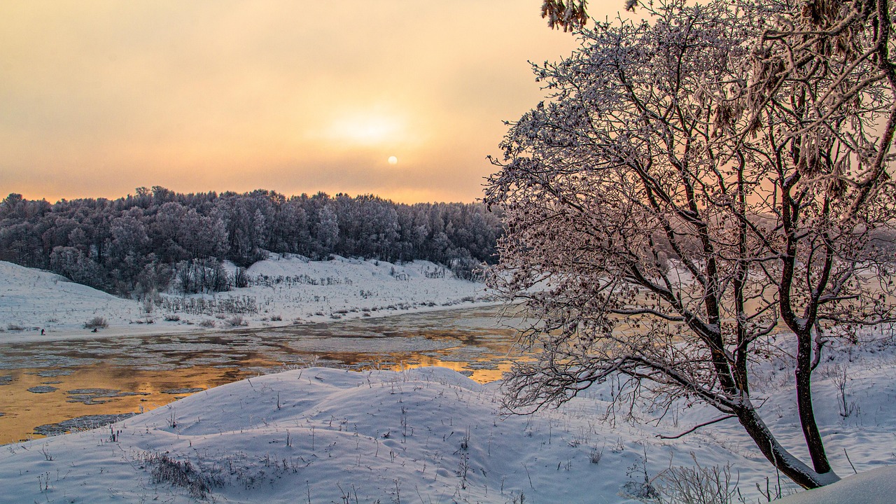 Landscape Trees Winter - Free photo on Pixabay