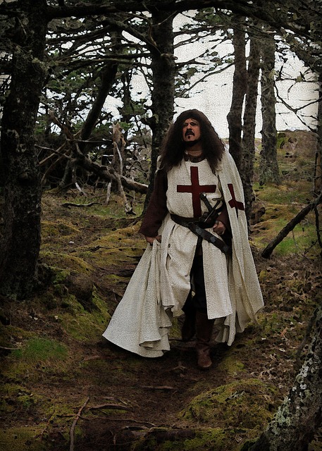 100+ Free Templar & Knight Images - Pixabay