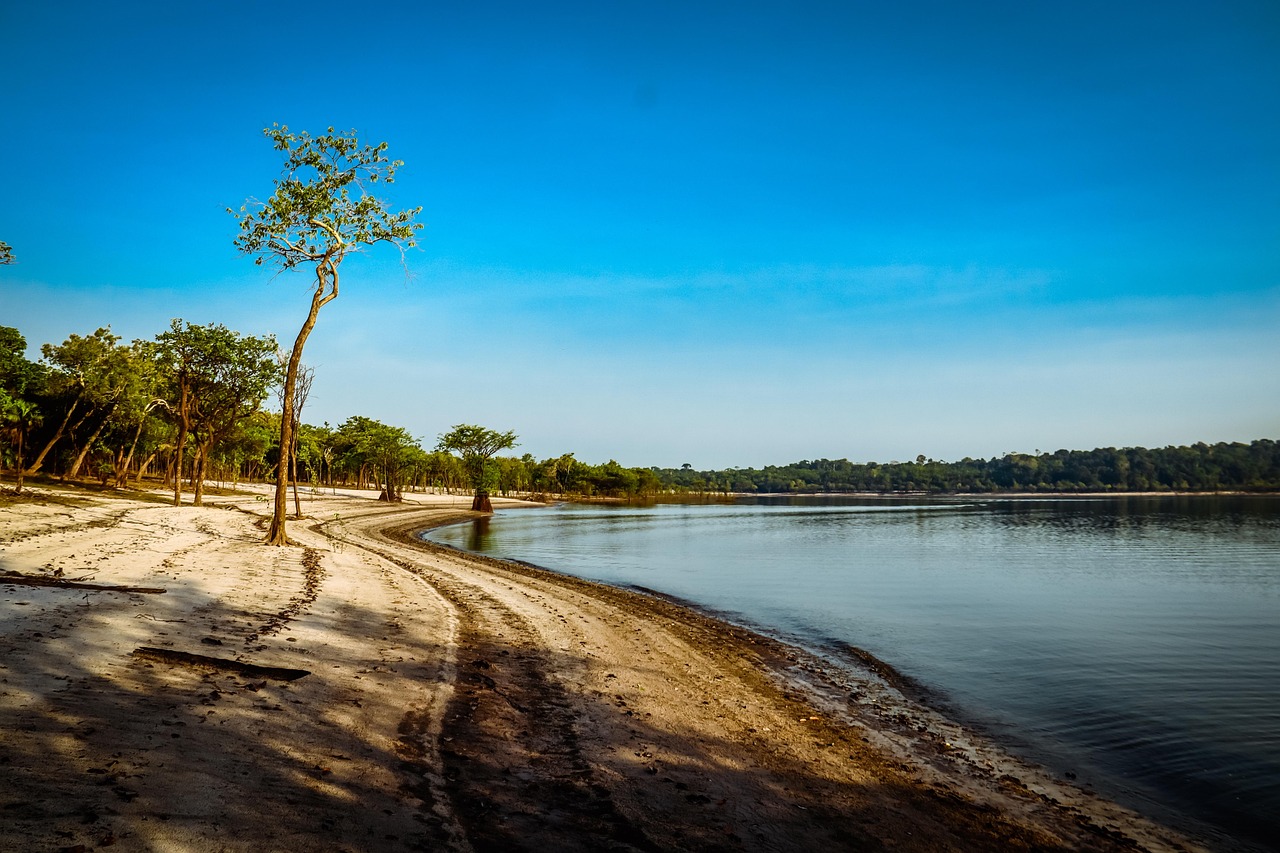Playa Lago Bosque - Foto gratis en Pixabay - Pixabay