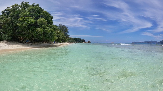 Seychelles Island Beach - Free photo on Pixabay - Pixabay