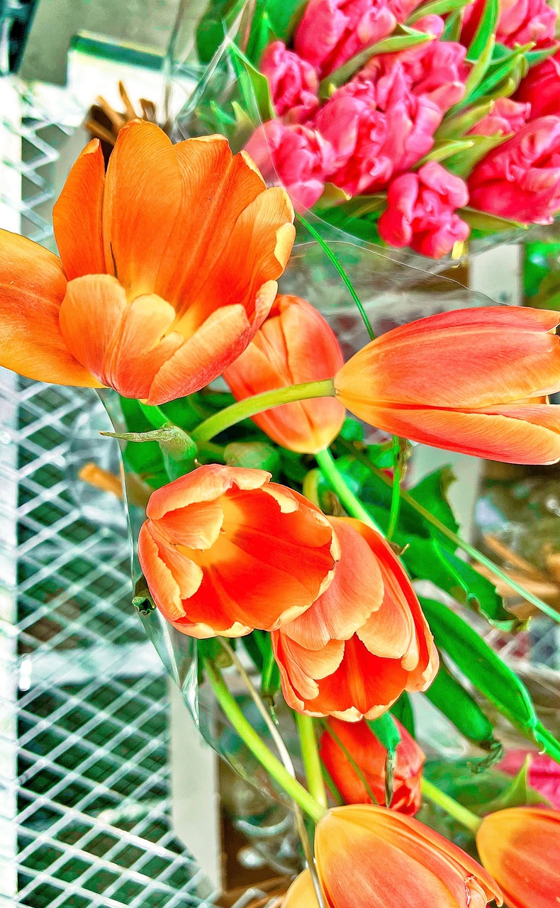 Karangan Bunga Orange - Foto gratis di Pixabay - Pixabay
