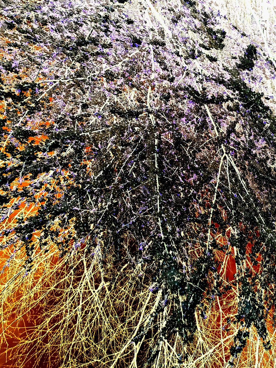 Eco Roslini - Photo gratuite sur Pixabay - Pixabay