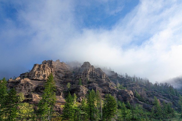 Parc National Nature Voyager - Photo gratuite sur Pixabay - Pixabay