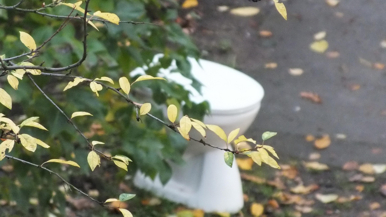 Nature Toilet Freedom - Free photo on Pixabay - Pixabay