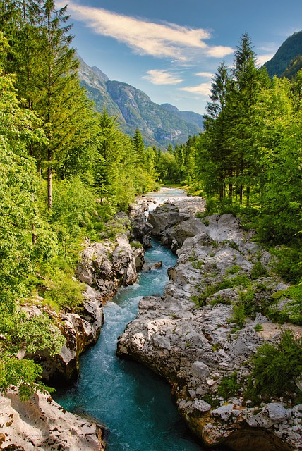 Forest River Canyon - Free photo on Pixabay - Pixabay