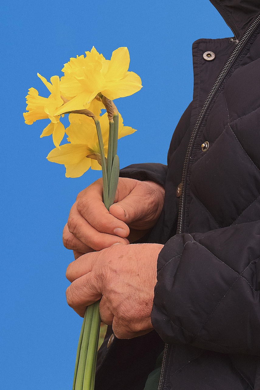 Meer dan 900 gratis afbeeldingen van Paasklokken en Narcissen - Pixabay