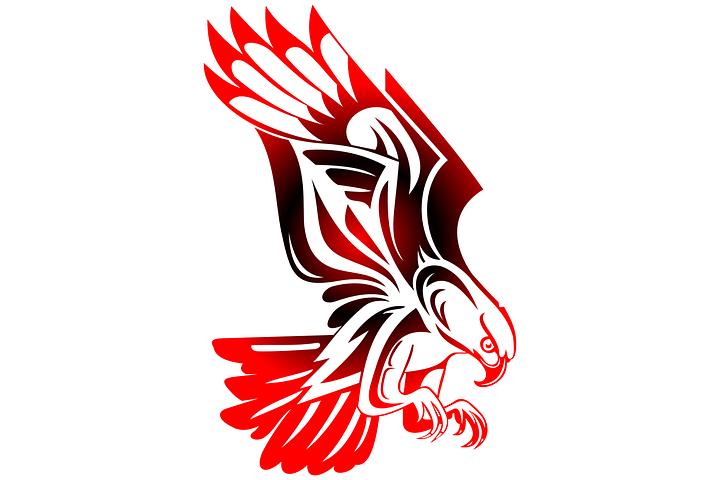60+ Free Eagle Drawing & Eagle Illustrations - Pixabay
