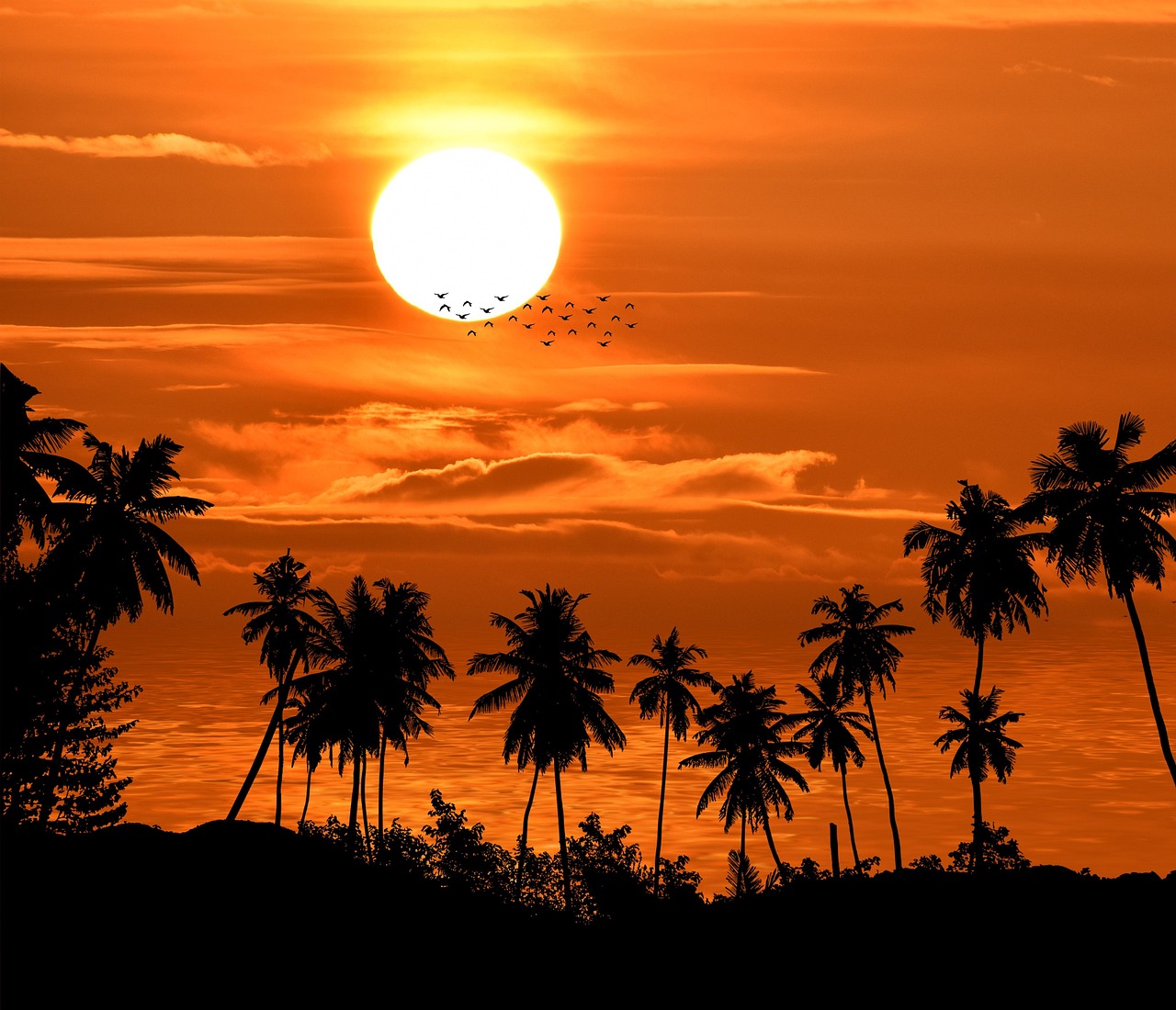 Más de 100 imágenes gratis de Palmeras Animadas y Estado Animico - Pixabay