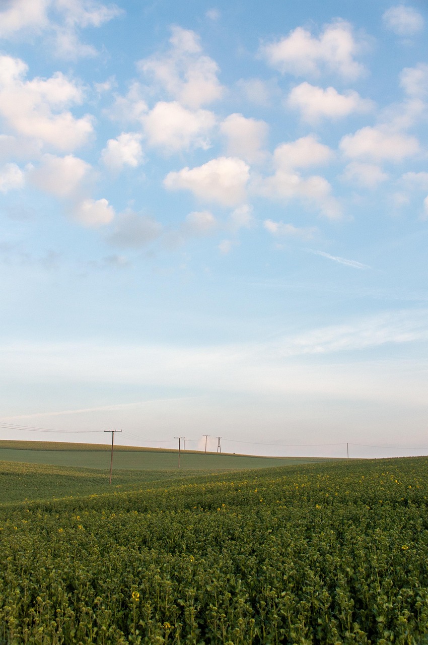 Field Nature Rural - Free photo on Pixabay