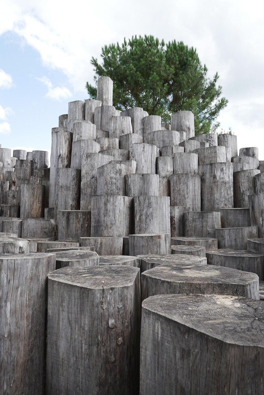 Landscape Vertical Tree - Free photo on Pixabay - Pixabay