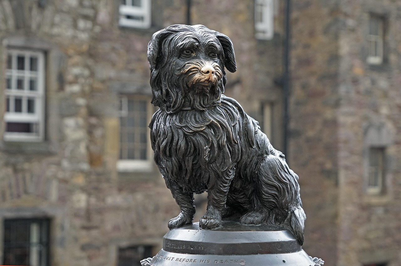 Greyfriars Bobby Edinburgh - Free photo on Pixabay