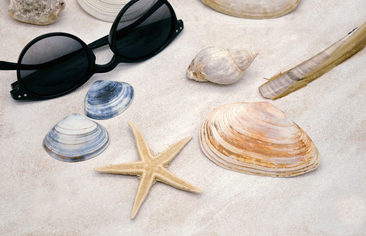 Vacations Beach Shellfish - Free photo on Pixabay - Pixabay