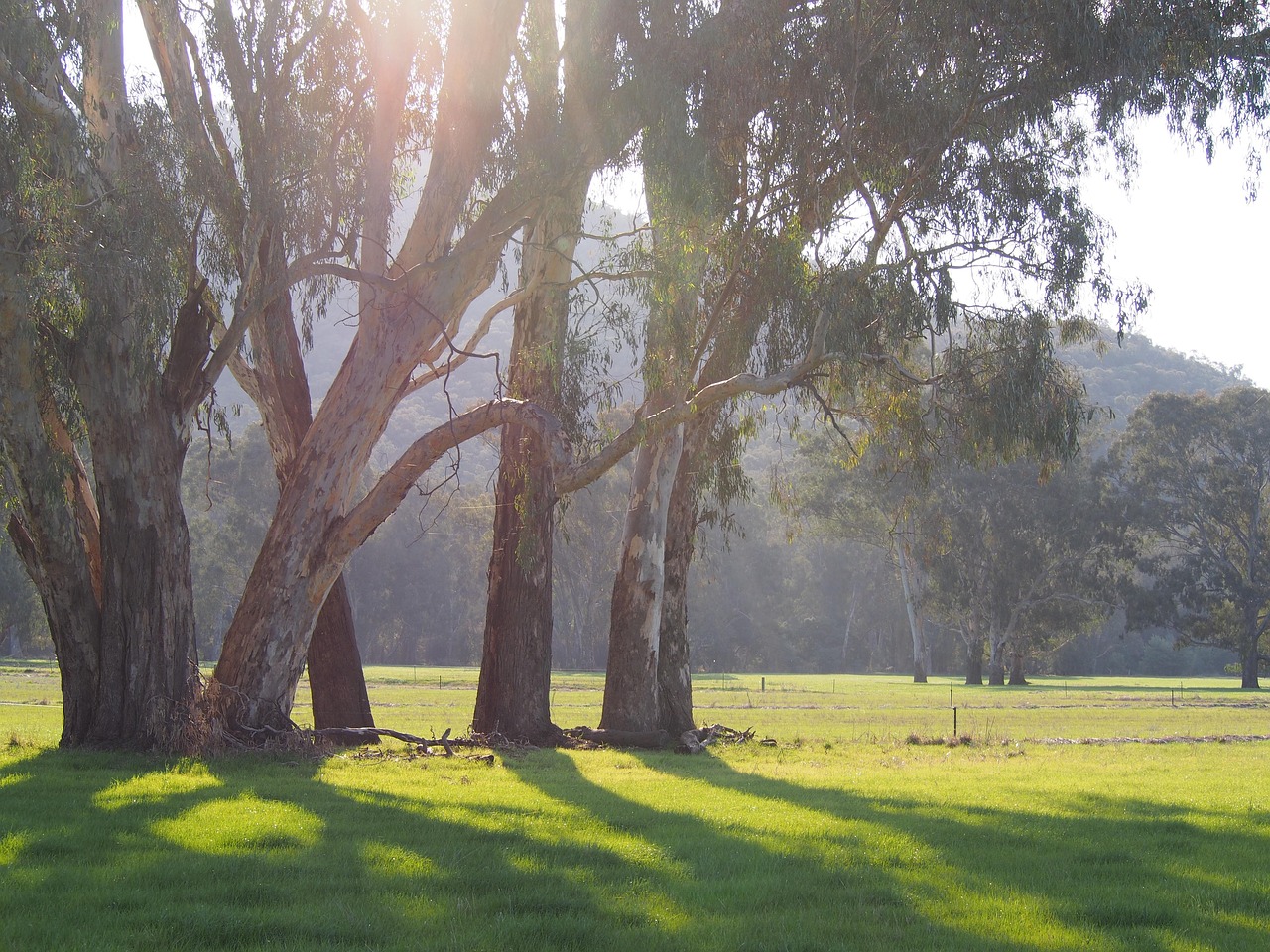 Country Nature Landscape - Free photo on Pixabay - Pixabay